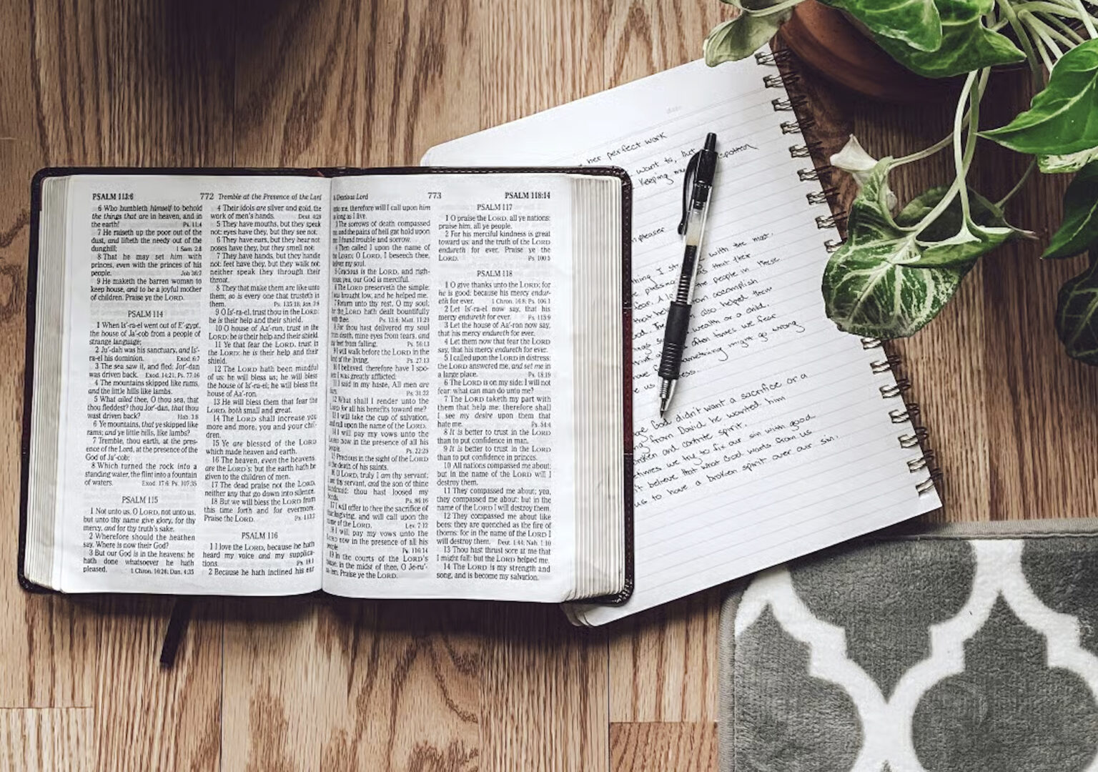 Estudia la Biblia con Recursos Oficiales - Adventista